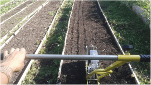 Le semis direct - Petit Maraîchage